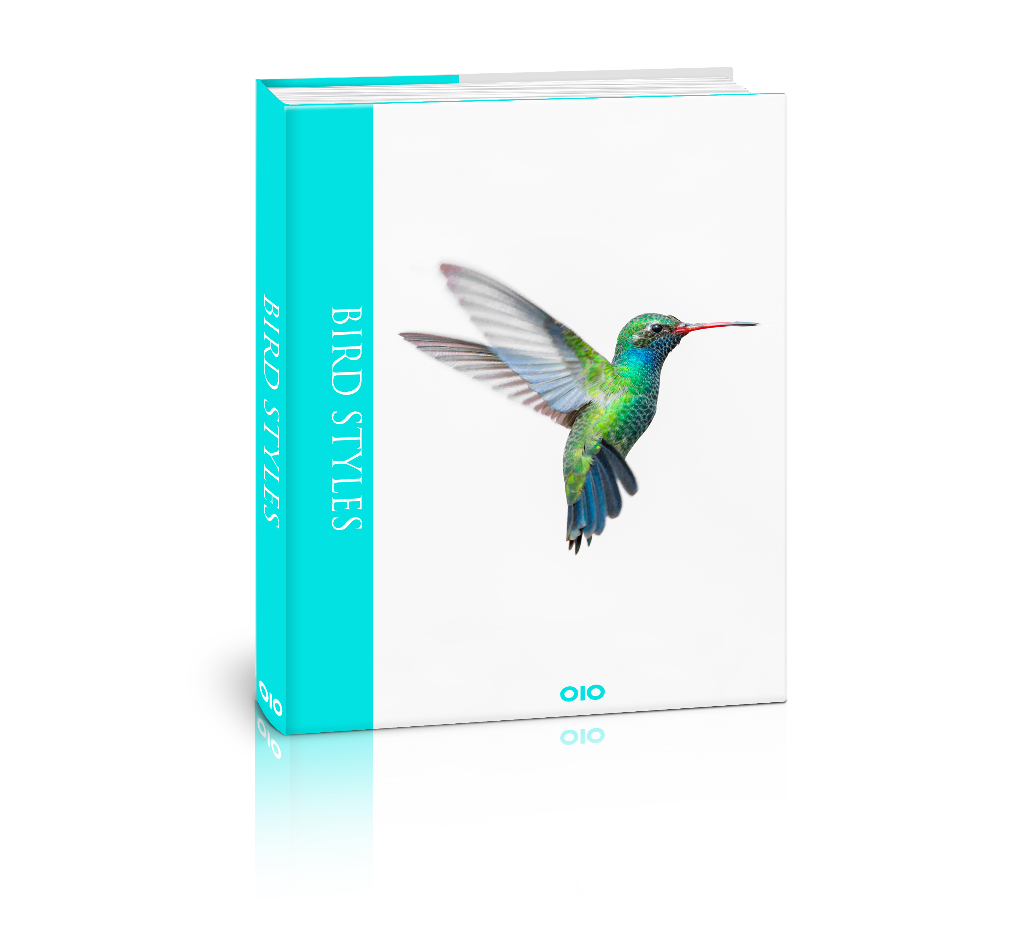 Bird Styles | Vögel von überwältigender Schönheit und Vielfalt ...